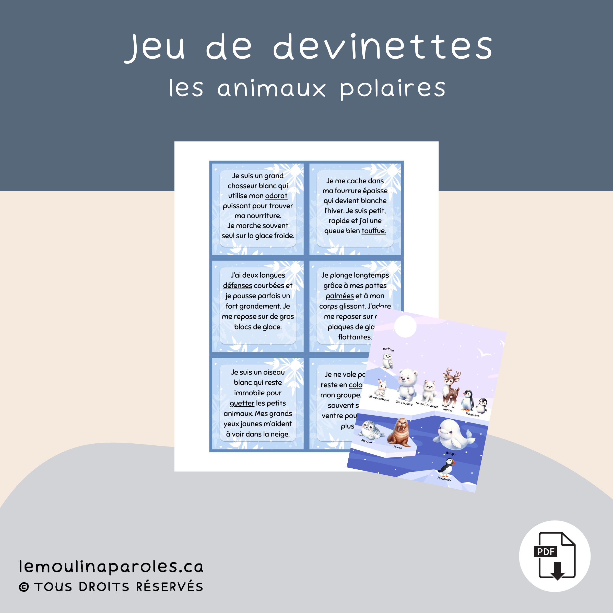 Devine l'animal polaire - Stratégies mots inconnus - 1er cycle – Le ...